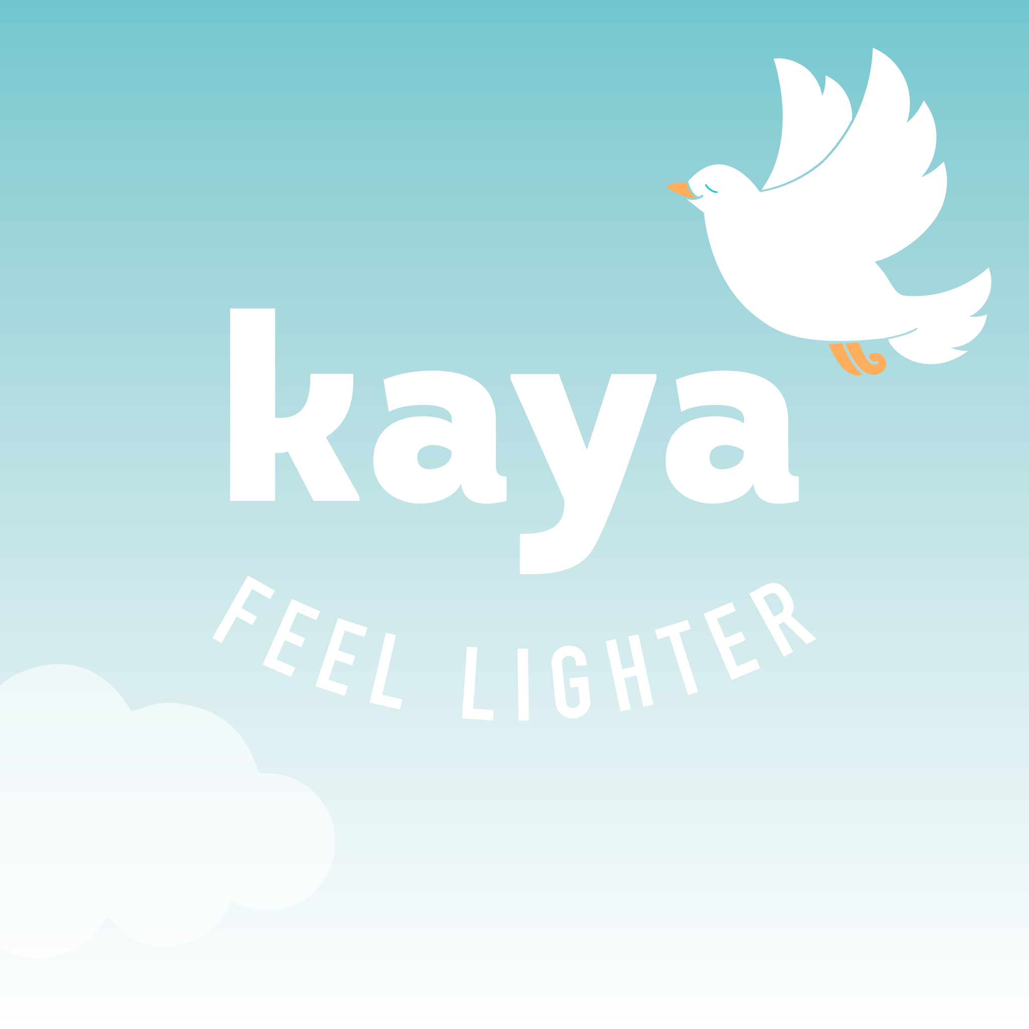 Collections – Kaya